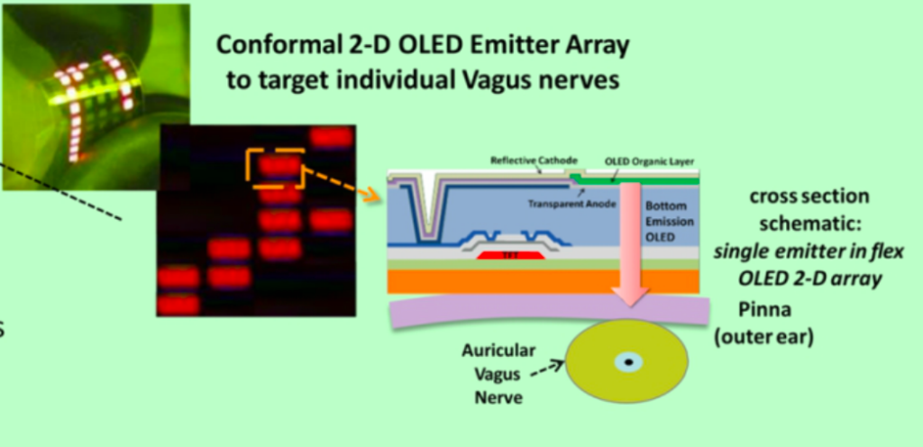 Bio OLEDs Move Us Beyond Displays – Display Daily