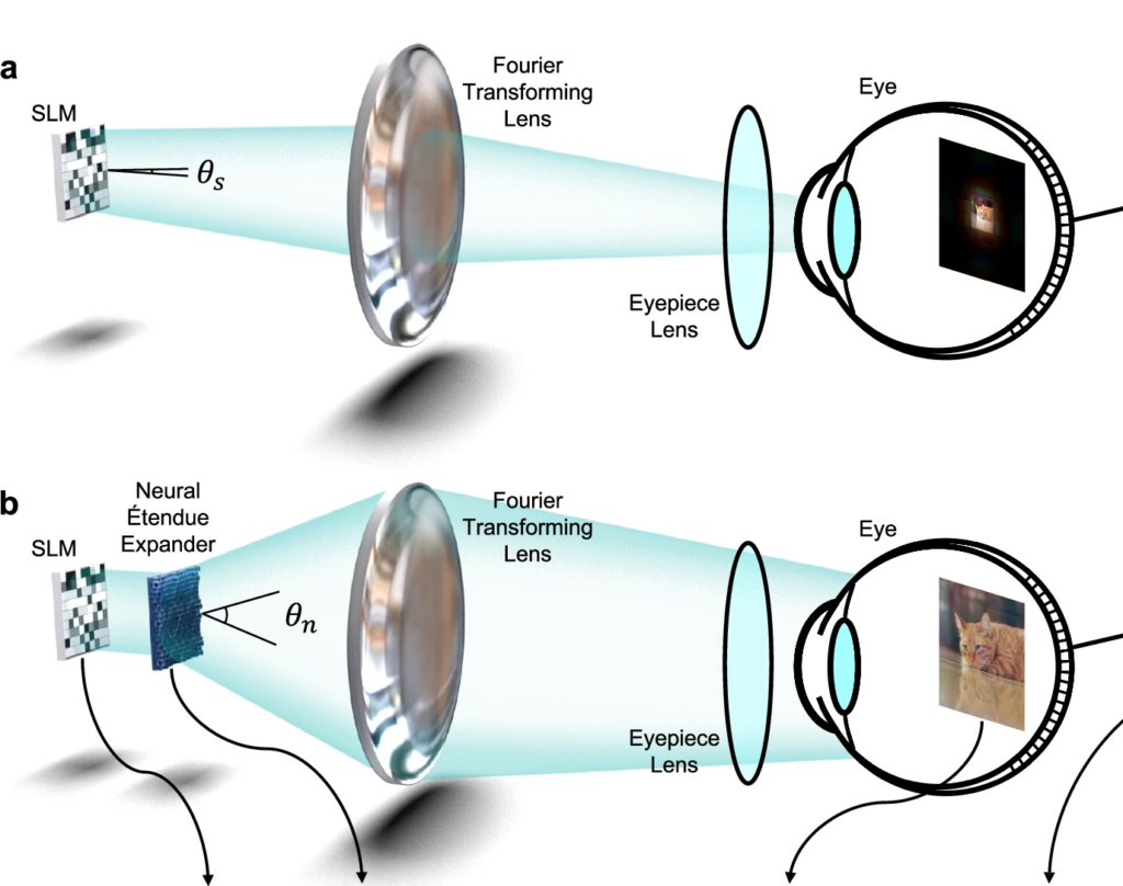 Daily – Display Daily